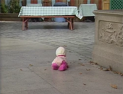 Episode 3828 | Muppet Wiki | Fandom powered by Wikia