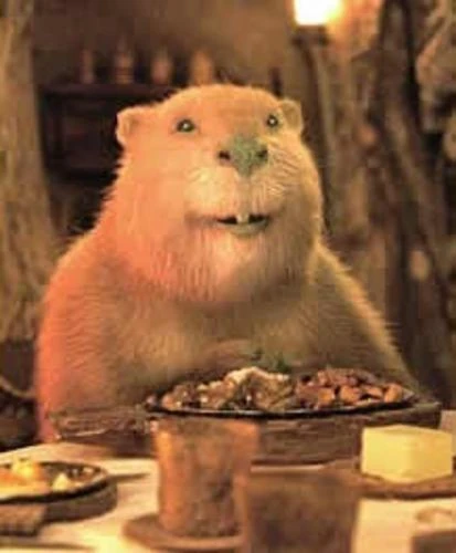 Señor Castor | Narnia Wiki | FANDOM powered by Wikia