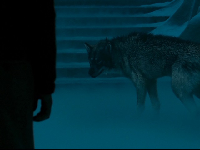 Maugrim The Chronicles Of Narnia Wiki Fandom Powered By Wikia