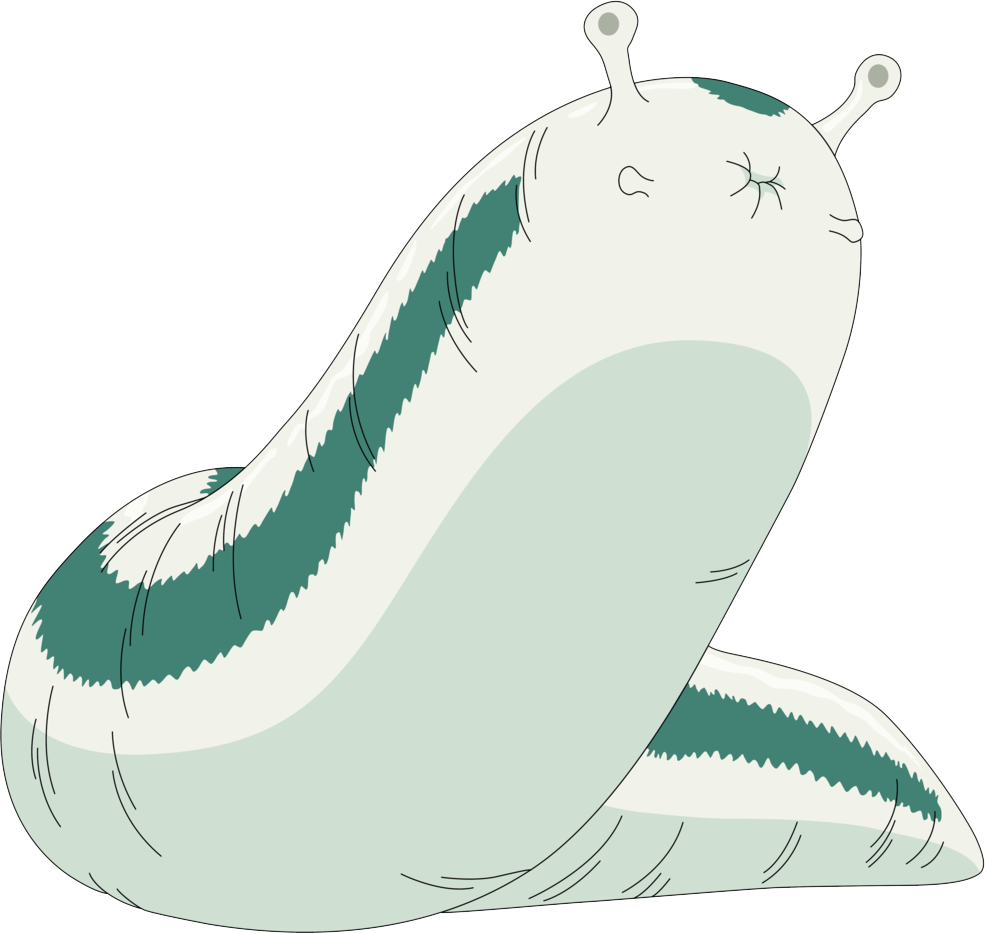 Image - Katsuyu.png | Narutopedia | FANDOM powered by Wikia Image - Katsuyu.png | Narutopedia | FANDOM powered by Wikia