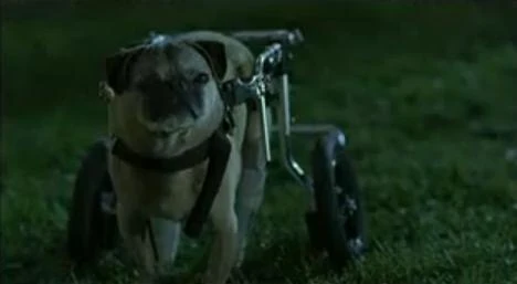 Category:Characters | Norbit Wiki | FANDOM powered by Wikia