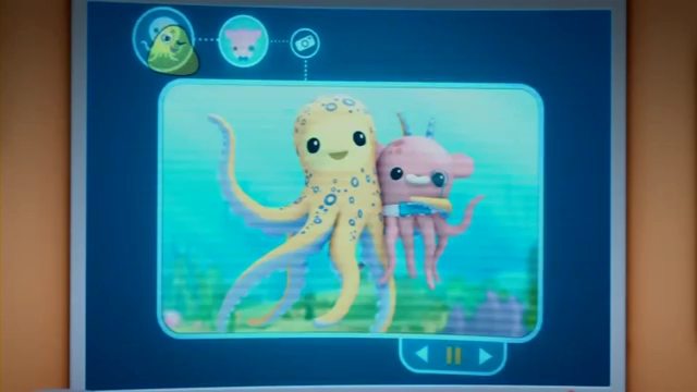 Blue Ringed Octopus | Octonauts Wiki | FANDOM powered by Wikia