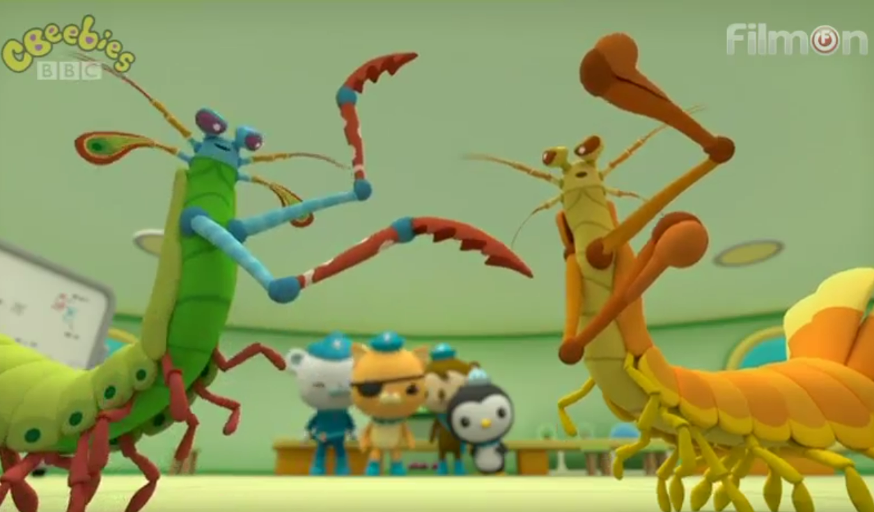 The Mantis Shrimp Octonauts Wiki Fandom Powered By Wikia
