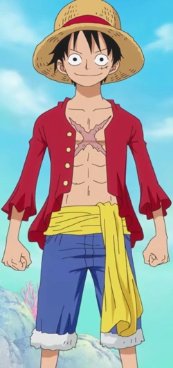 Monkey D. Luffy | One Piece Wiki | Fandom powered by Wikia