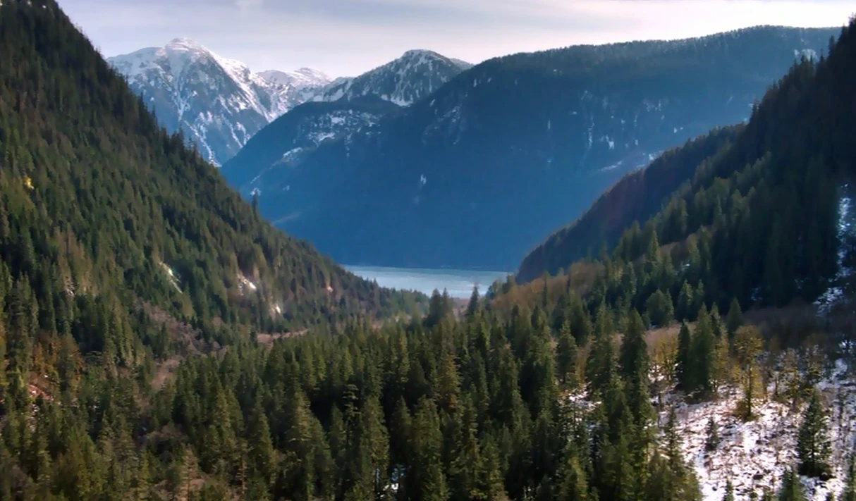 Enchanted Forest | Once Upon a Time Wiki | FANDOM powered by Wikia