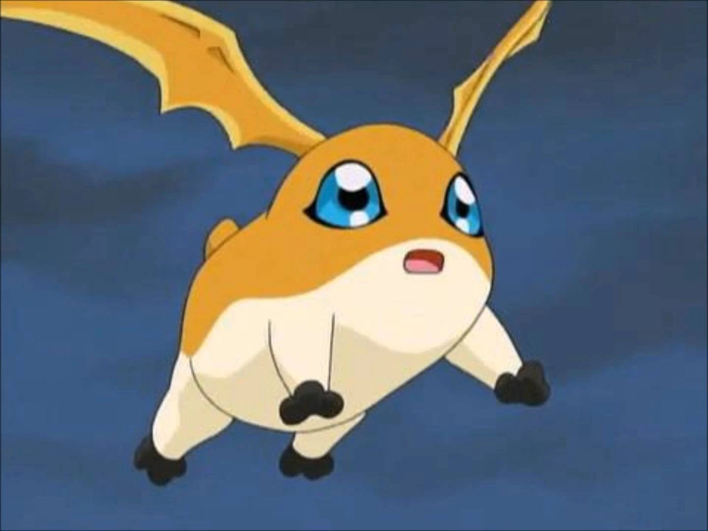 Patamon | Heroes Wiki | Fandom powered by Wikia