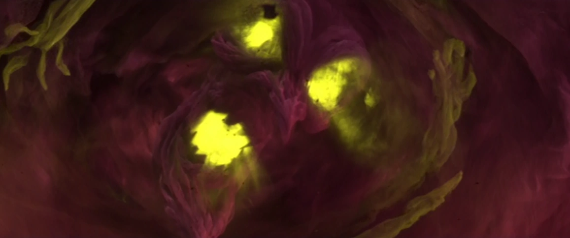 Image - Aggie witch form.PNG | Paranorman Wiki | Fandom powered by Wikia