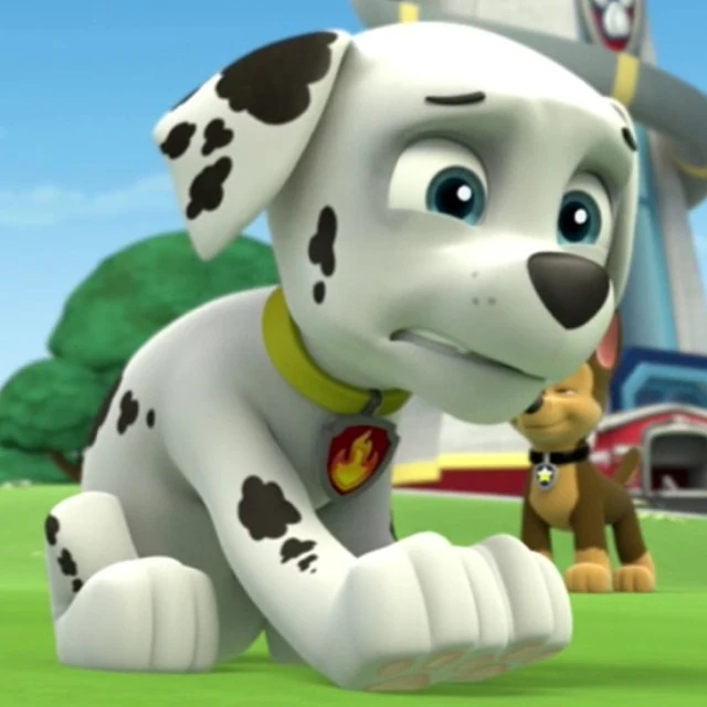 What's Wrong, Marshall? | PAW Patrol Fanon Wiki | FANDOM powered by Wikia