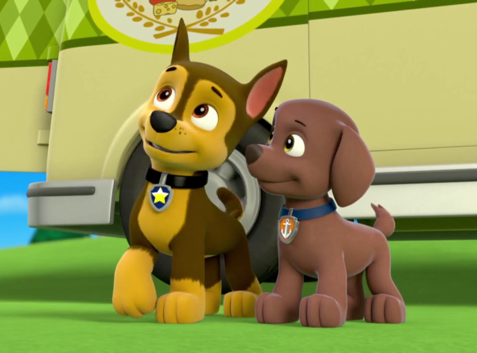 Zuma/Gallery/Pups Save Ryder | PAW Patrol Wiki | FANDOM powered by Wikia Zuma/Gallery/Pups Save Ryder | PAW Patrol Wiki | FANDOM powered by Wikia