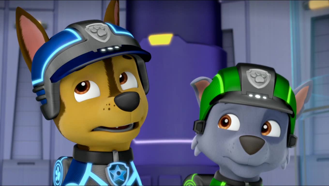 Rocky Gallery Mission Paw Pups Save The Royal Throne Paw Patrol Wiki