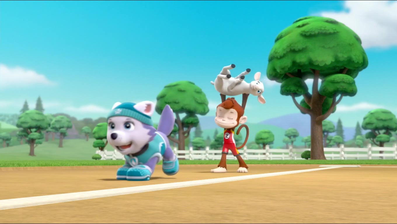 Image - All Star Pups! 20.jpg | PAW Patrol Wiki | FANDOM powered by Wikia Image - All Star Pups! 20.jpg | PAW Patrol Wiki | FANDOM powered by Wikia