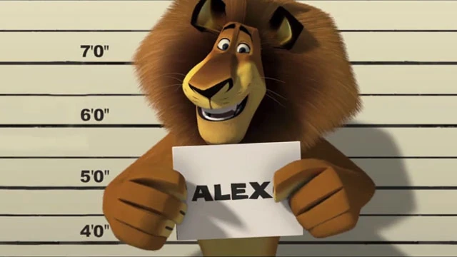 Image - Madagascar-3-alex-spot.jpg | Madagascar Wiki | FANDOM powered ...