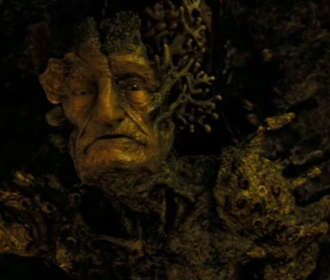 Wyvern | PotC Wiki | Fandom powered by Wikia