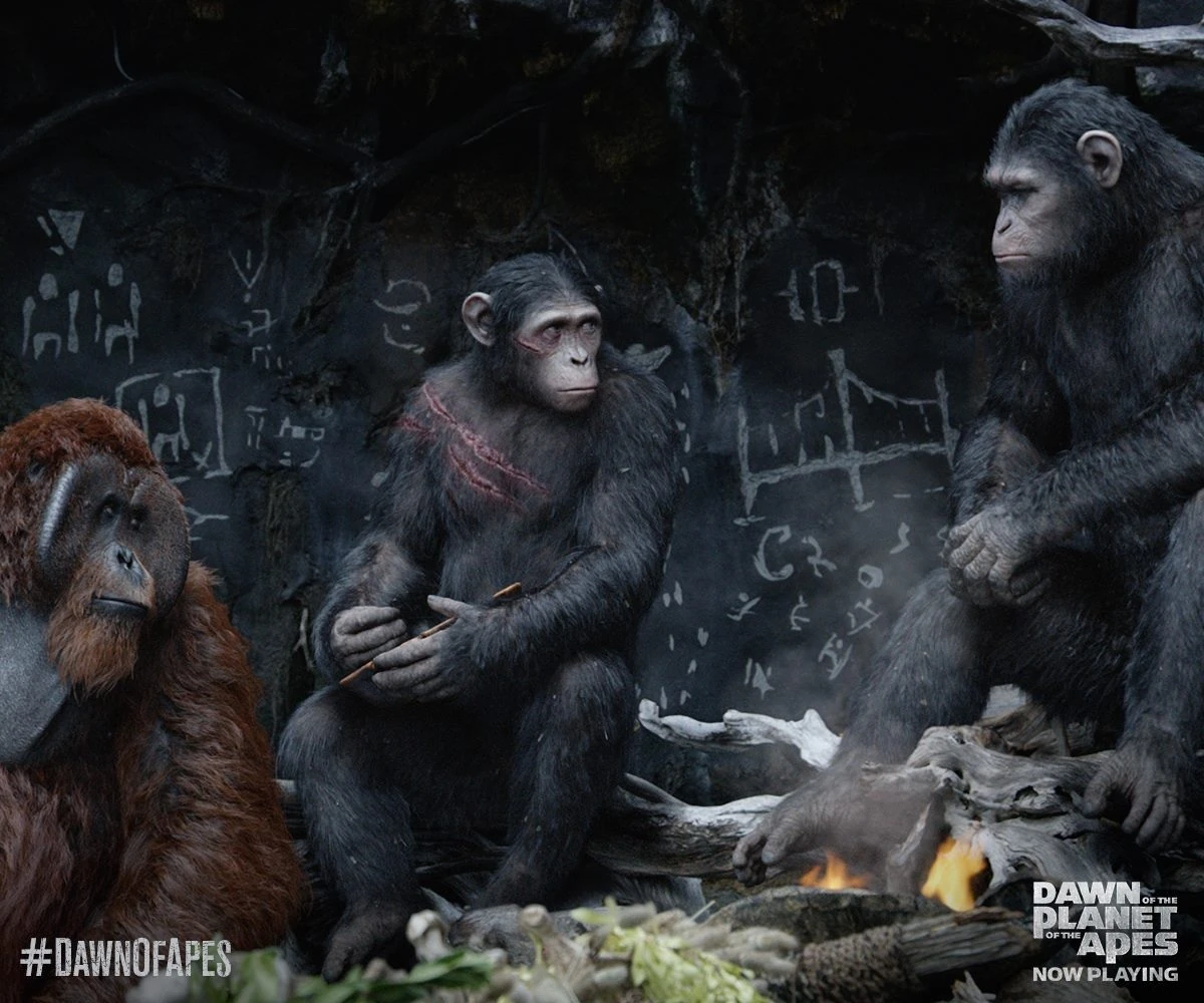 Image - Blue Eyes,Caesar, and Maurice.jpeg | Planet of the Apes Wiki ...