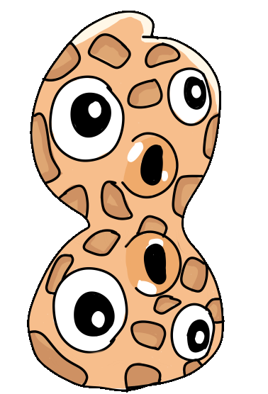 Image Peanutpng Plants Vs Zombies Wiki Fandom Powered By Wikia