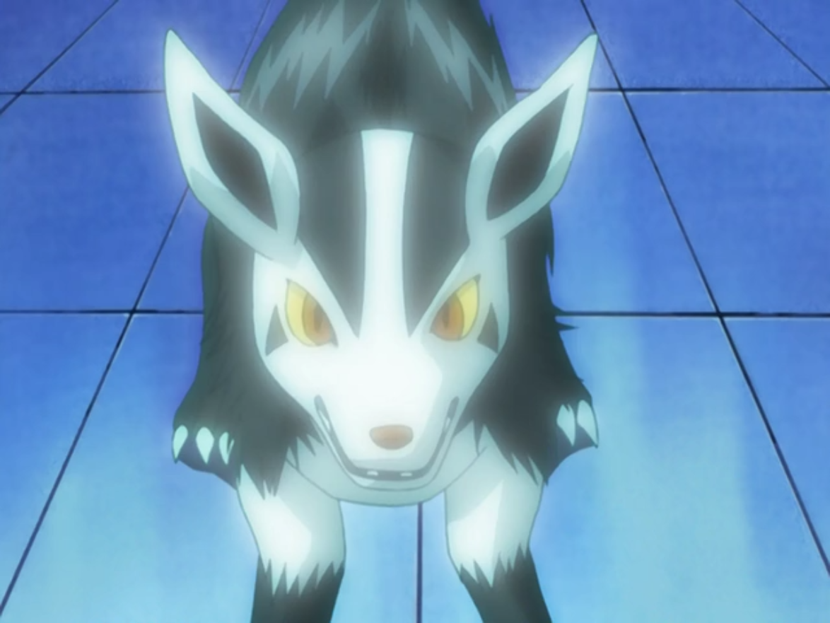 Mirage Mightyena Pokémon Wiki Fandom Powered By Wikia