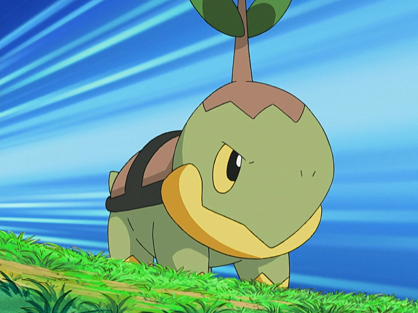 Gardenia's Turtwig (anime) | Pokémon Wiki | Fandom powered by Wikia