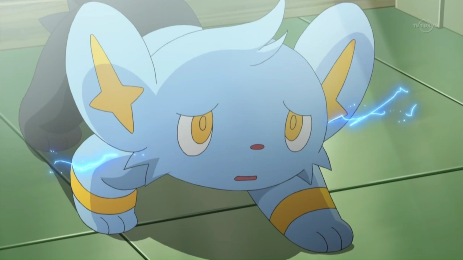 Cheren (anime) | Pokémon Wiki | Fandom powered by Wikia