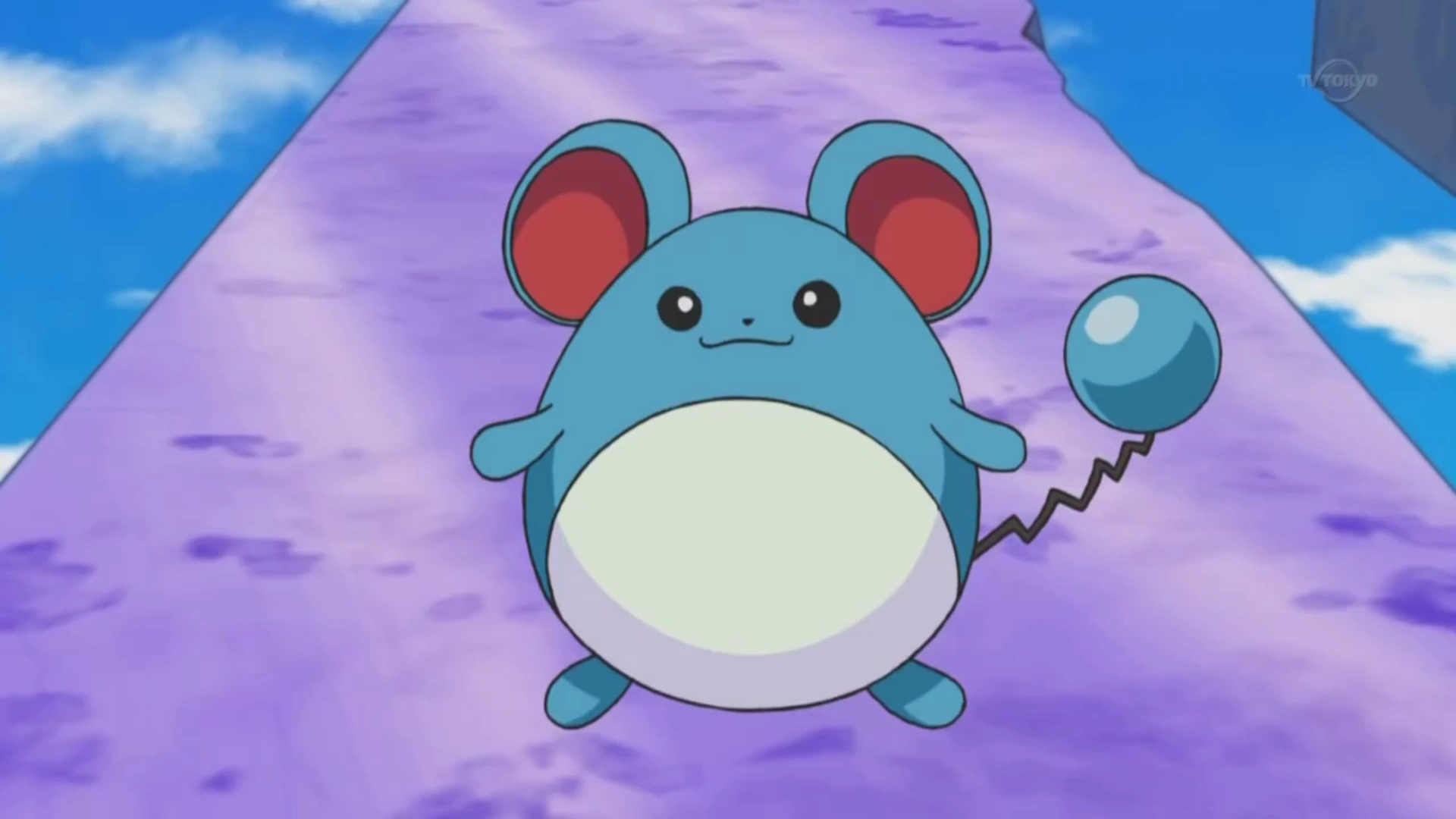 Marill (anime) | Pokémon Wiki | FANDOM powered by Wikia