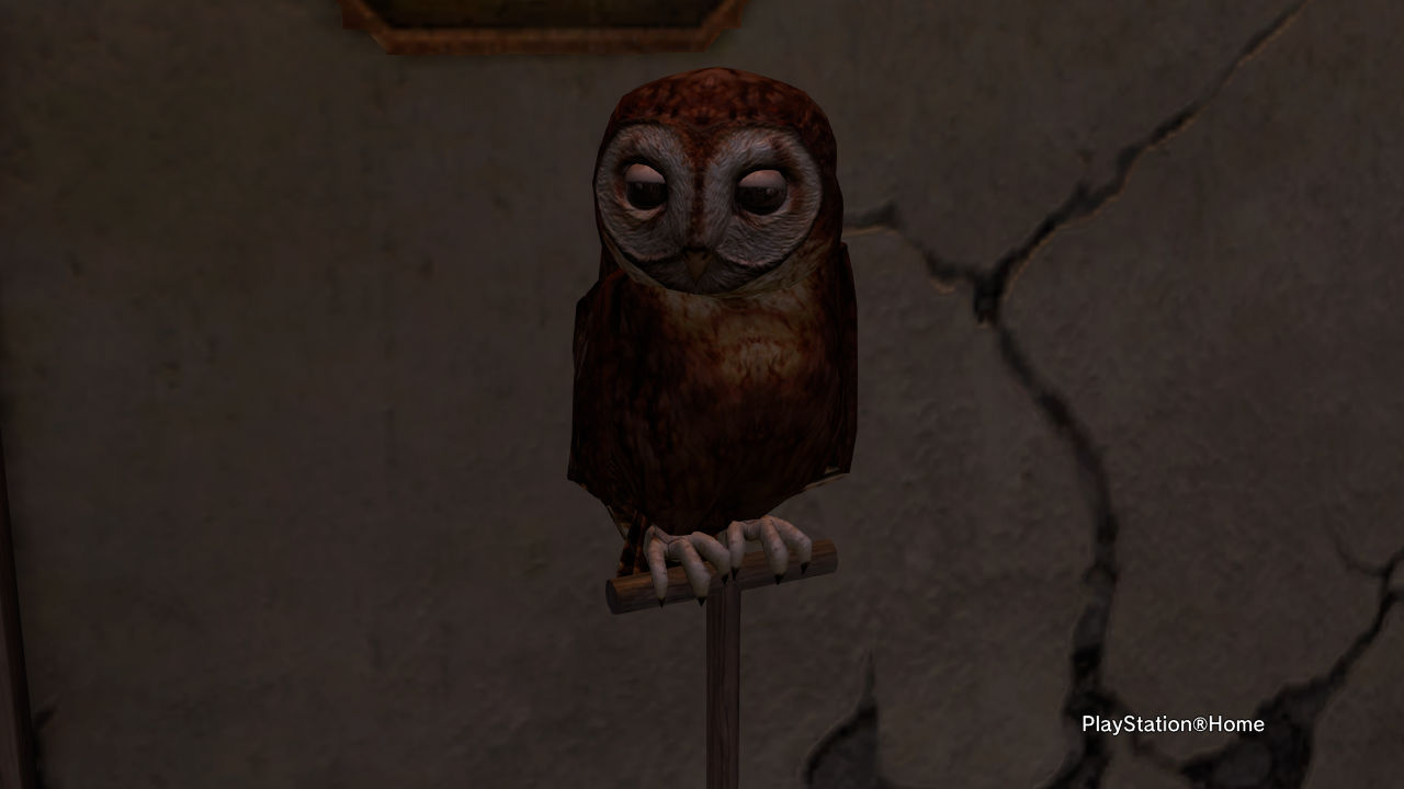 Category:Owls | Pottermore Wiki | FANDOM powered by Wikia Category:Owls | Pottermore Wiki | FANDOM powered by Wikia