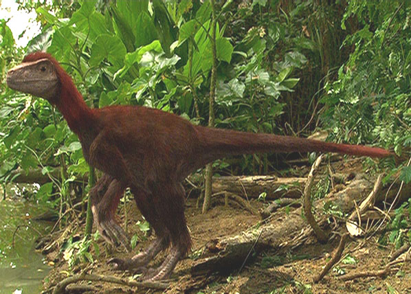 Pyroraptor Prehistoric Monsters Wiki Fandom Powered By Wikia