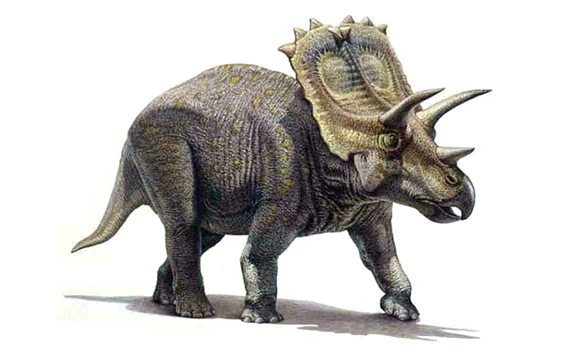 Eoceratops | Wiki Prehistórico | Fandom powered by Wikia