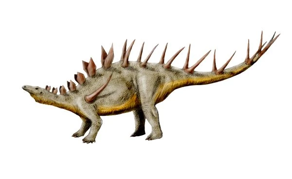 Kentrosaurus | Wiki Prehistórico | Fandom powered by Wikia