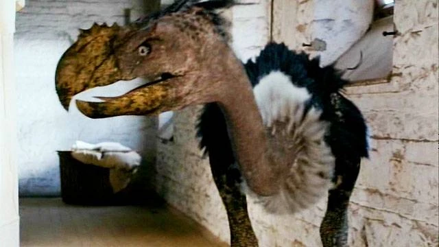 Terror Bird | Primeval Wiki | Fandom powered by Wikia