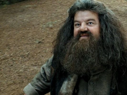 Image - Hagrid.jpg | The Harry Potter Compendium | Fandom powered by Wikia
