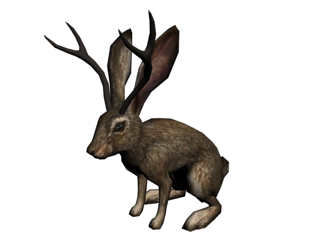 Jackalope | Red Dead Wiki | FANDOM powered by Wikia