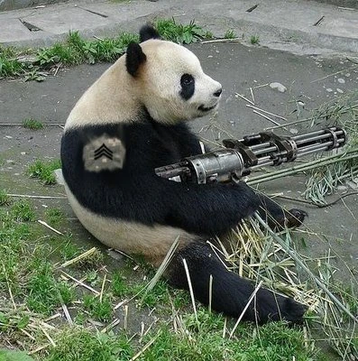 So we nuke NK. What's the fallout damage to...? > General Discussion ...