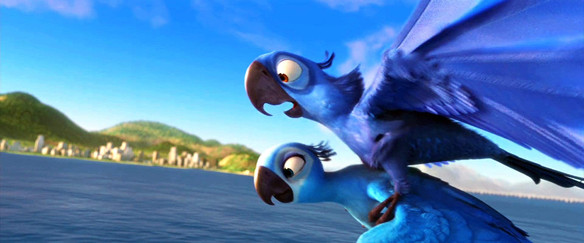 Image - Blu takes flight.png | Rio Wiki | Fandom powered by Wikia