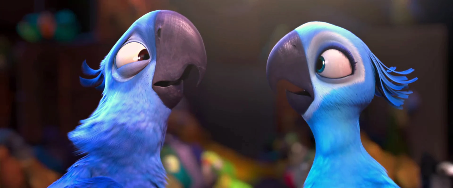 Image - Samba club Rio movie.jpg | Rio Wiki | Fandom powered by Wikia