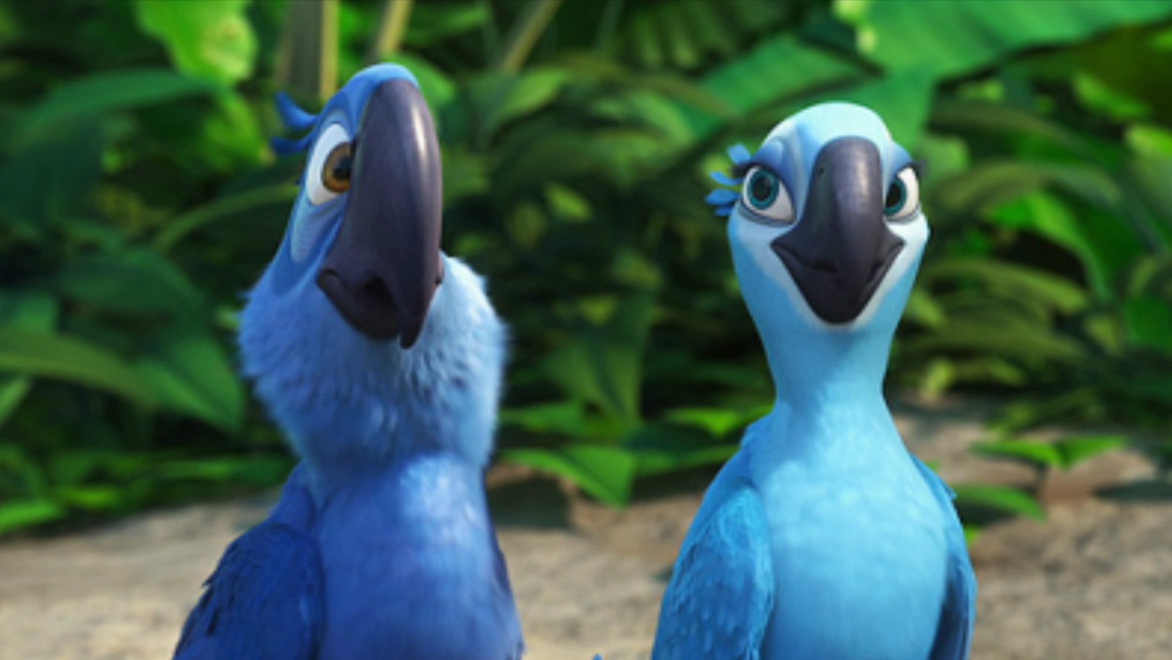 Image - Blu Rio.png | Rio Wiki | Fandom powered by Wikia