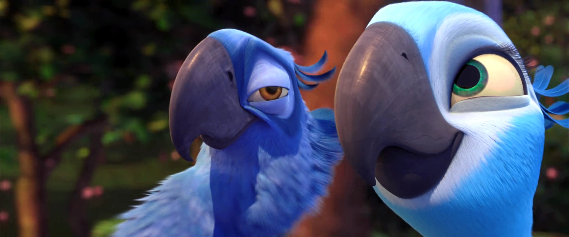 Blue Bird From Rio | Foto Bugil Bokep 2017