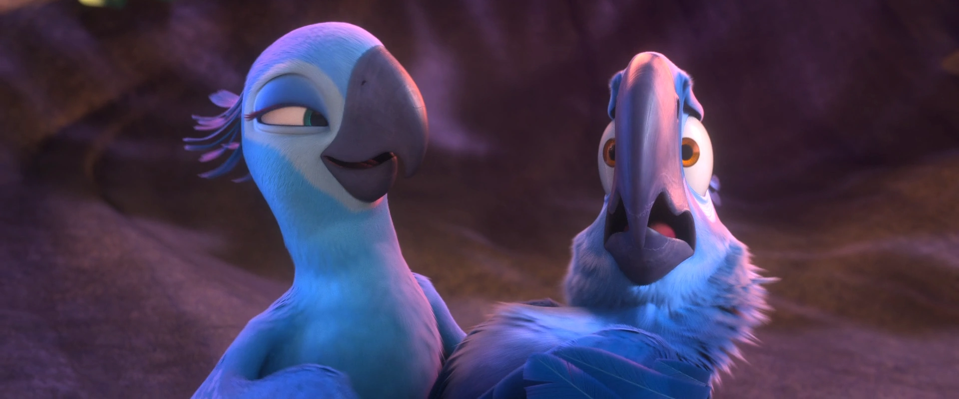 Image - (BB 18) Blu&Jewel.png | Rio Wiki | Fandom powered by Wikia