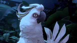 Nigel | Rio Wiki | Fandom powered by Wikia