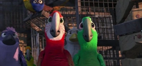 Image - 2Macaw.jpg | Rio Wiki | FANDOM powered by Wikia