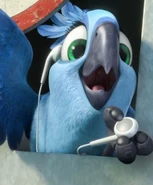 Carla | Wiki Río | Fandom powered by Wikia