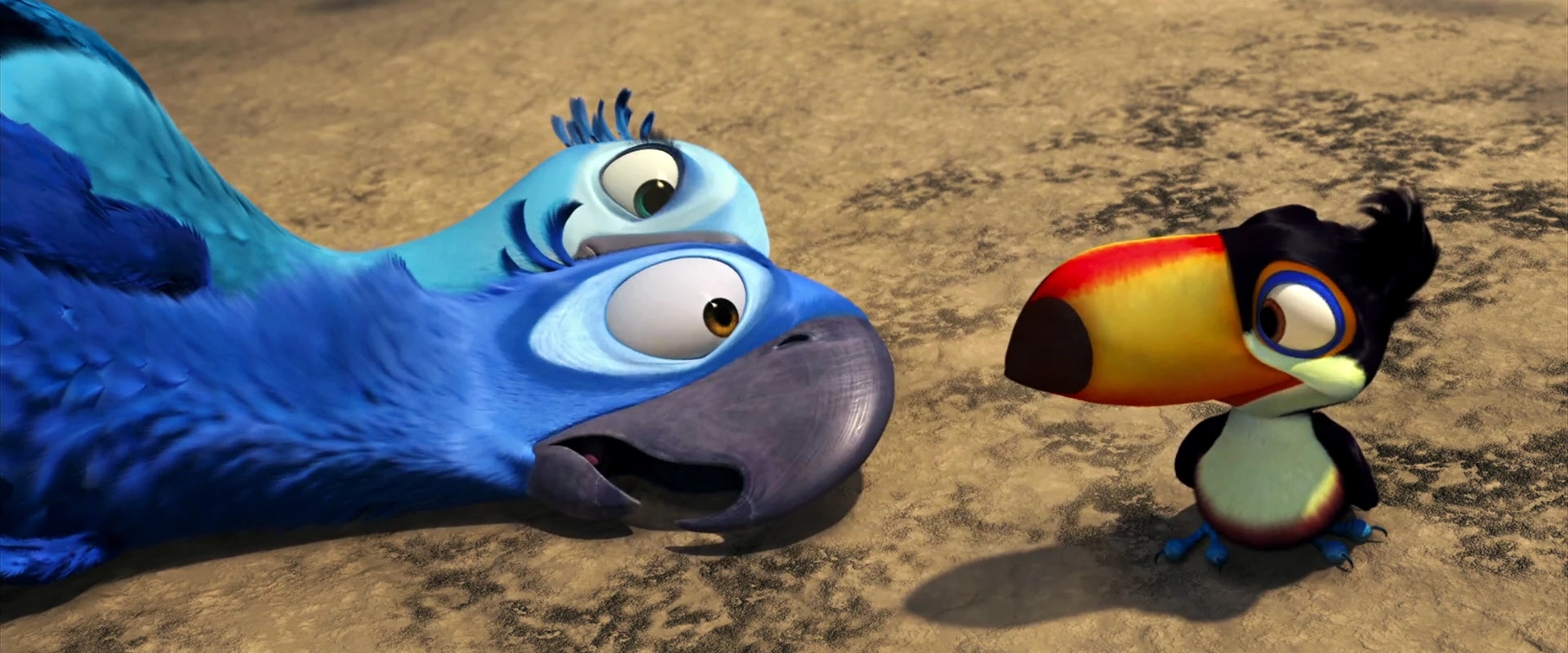 Image - Blu-jewel-and-one-of-rafael-s-evil-little-chicks-blu-and-jewel ...