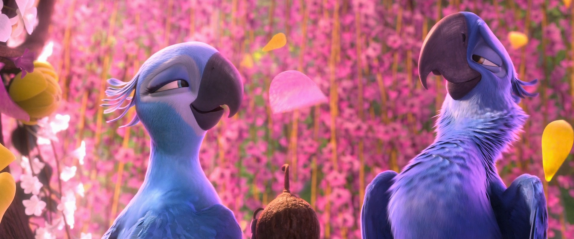 Image - Blu´s dream 2.png | Rio Wiki | FANDOM powered by Wikia