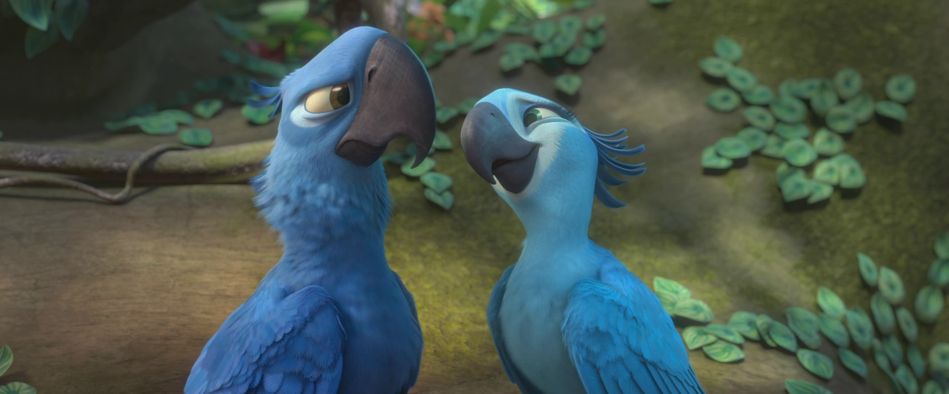 Image - Blu 100-Jewel 100 4.png | Rio Wiki | Fandom powered by Wikia