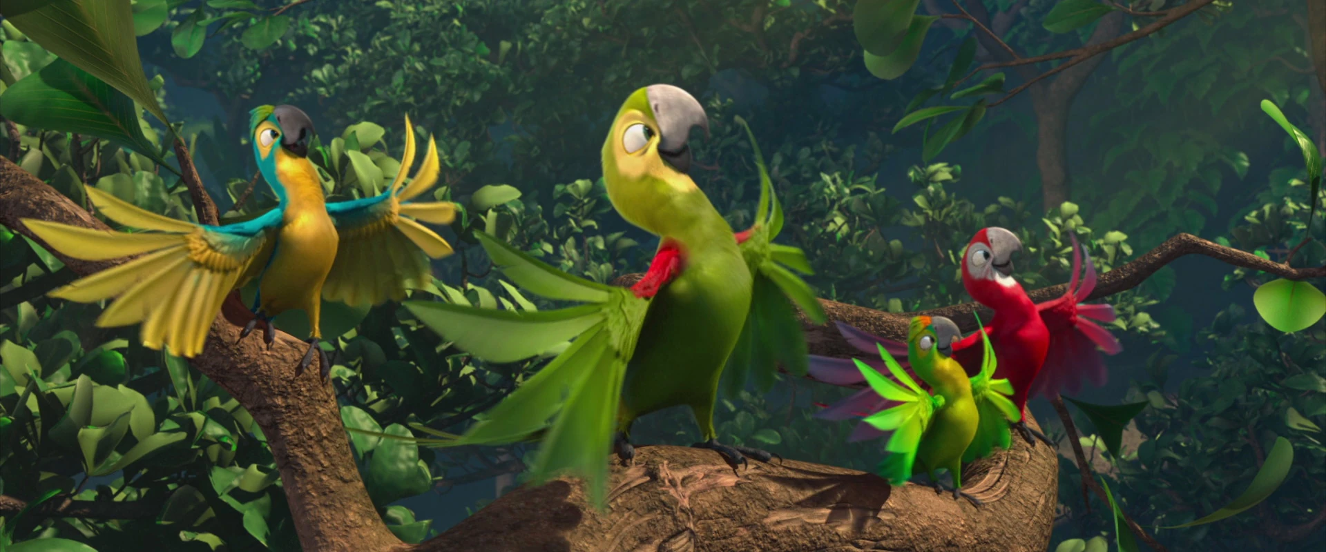 Real in Rio | Rio Wiki | Fandom powered by Wikia