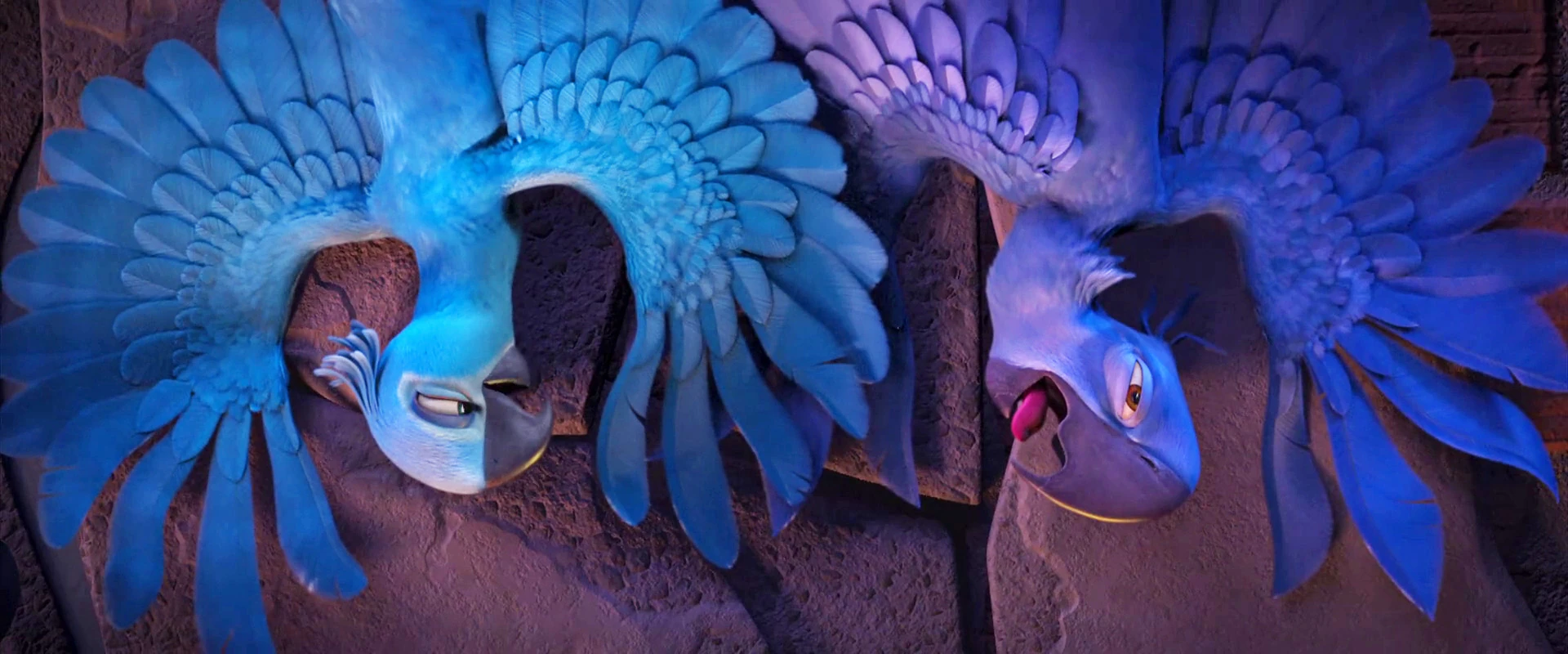 Image - Blu and Jewel chain scene.jpg | Rio Wiki | Fandom powered by Wikia