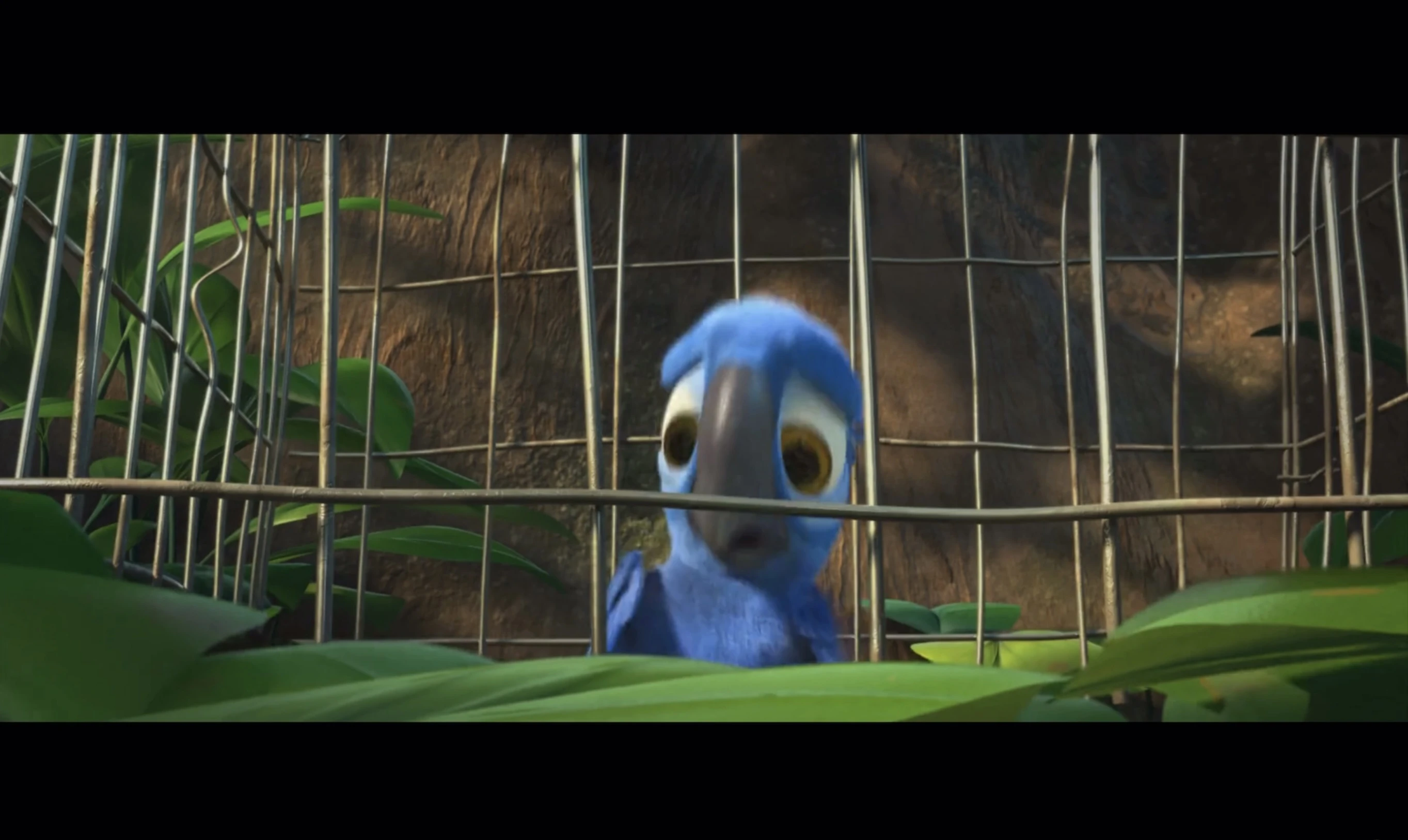Image - Rio blu baby trapped in cage.jpg | Rio Wiki | FANDOM powered by ...