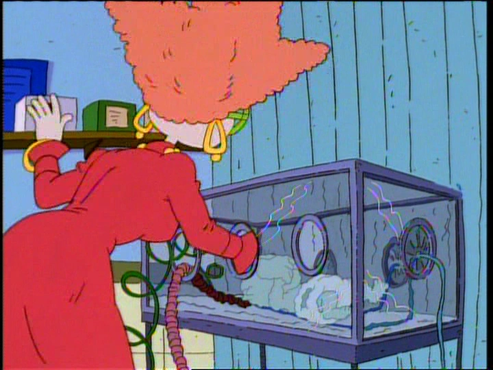 Image - Vlcsnap-2013-02-03-01h28m48s207.png | Rugrats Wiki | FANDOM ...