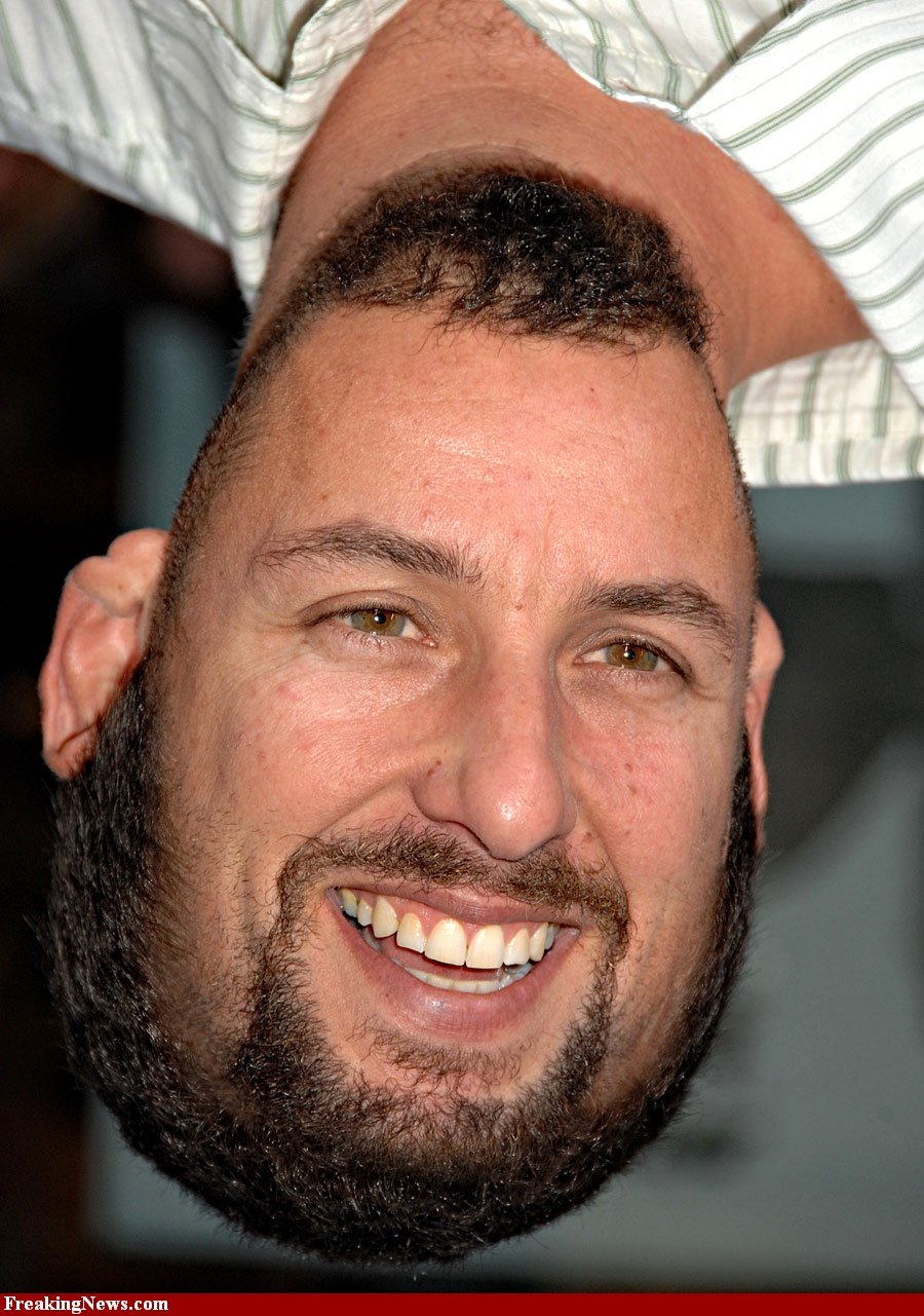 Adam Sandler Sanpedia Wiki Fandom Powered By Wikia