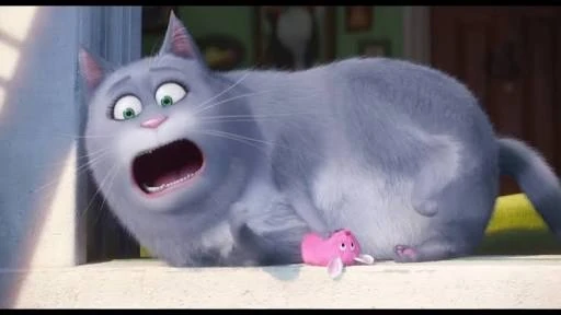 Image - Chloe On The Ledge.jpg | The Secret Life of Pets Wiki | FANDOM ...
