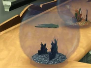 Sims 3 Types Of Insects - newswelcome