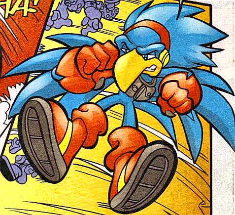 Predator Hawk | Sonic the Hedgehog Wiki | Fandom powered by Wikia
